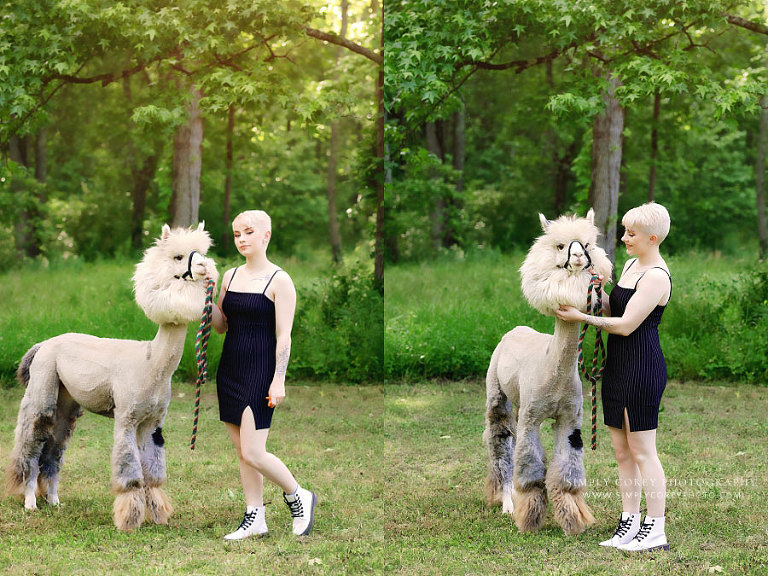 Atlanta Senior Portrait Photographer | L&R Alpaca Farm Photo Session